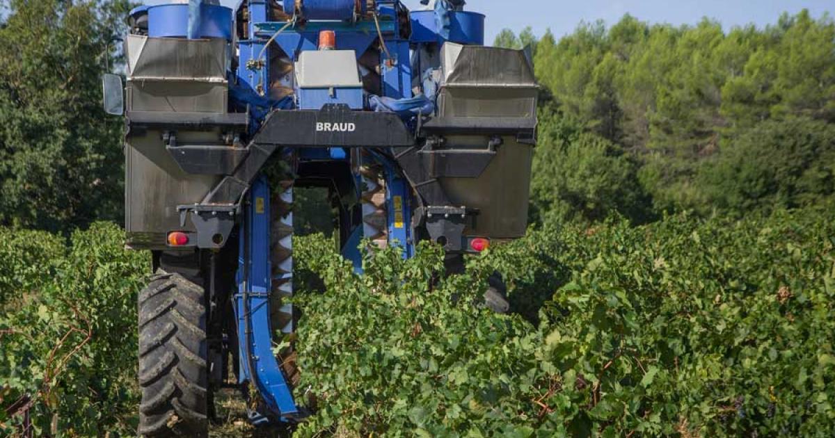 La industria agroalimentaria española: estructura empresarial y ...